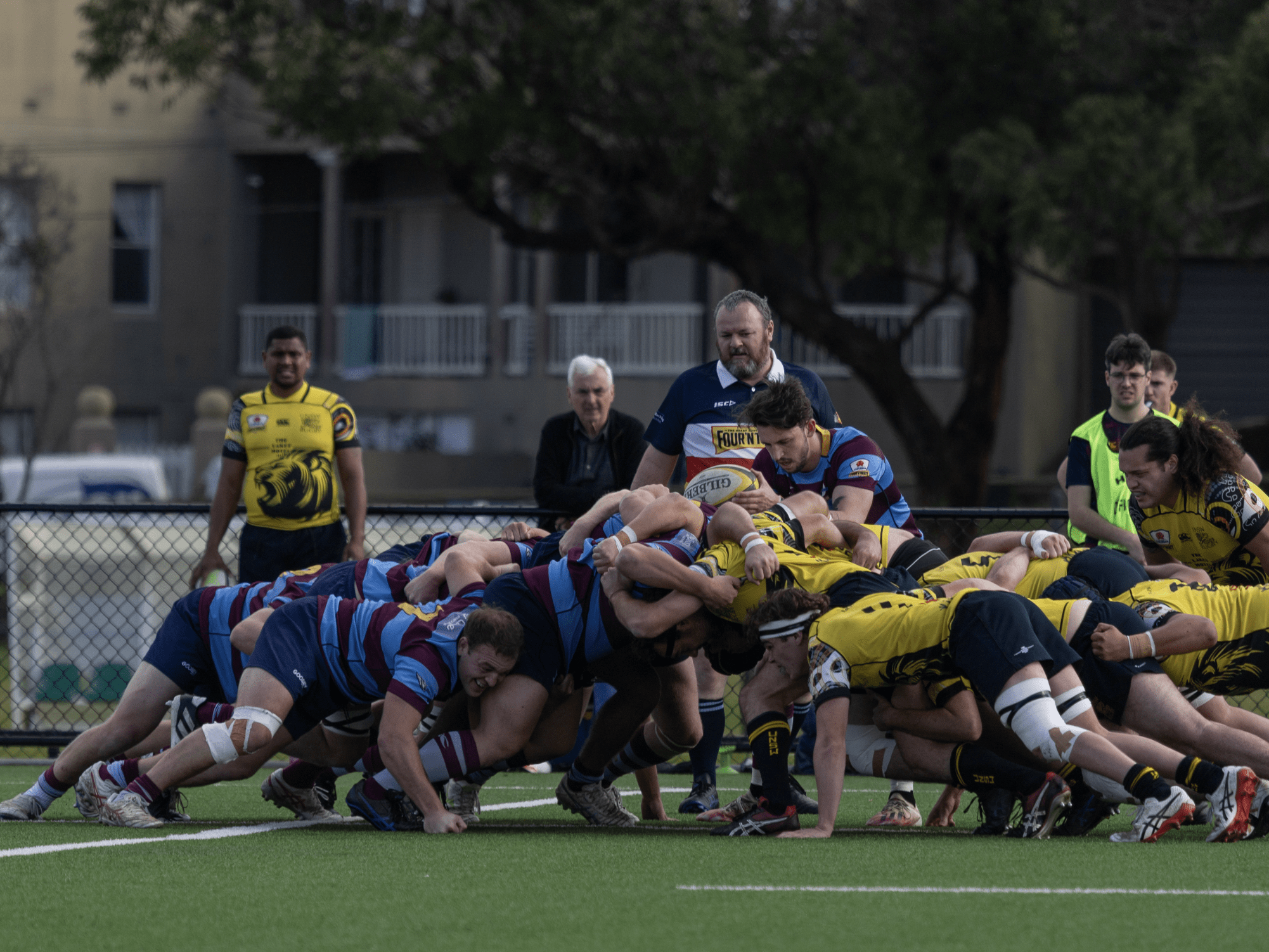 Home [petershamrugby.com]